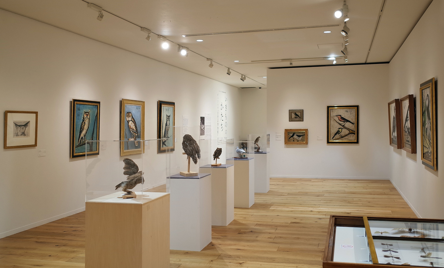 Bernard Buffet Official . The Bernard Buffet Museum